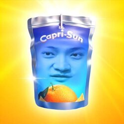 Caprisun (CSUN) Price Prediction 2025-2030, How much will CSUN be worth ...