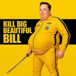 Kill Big Beautiful Bill Price, KBBB Chart & Kill Big Beautiful Bill ...
